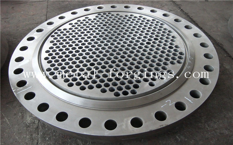 Tube Sheet Double Stainless Steel Forged Disc 1.4462, F51, S31803 F60 ...